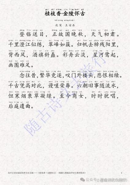 桂枝香金陵怀古王安石_为何千古传诵-第2张图片-山城妙识