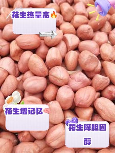 花生热量高吗_花生蛋白质含量多少-第3张图片-山城妙识