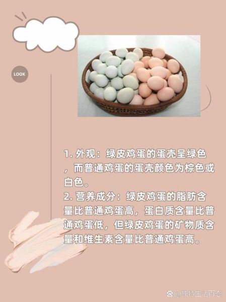 绿皮鸡蛋的营养价值_绿皮鸡蛋和普通鸡蛋的区别-第1张图片-山城妙识 绿皮鸡蛋的营养价值_绿皮鸡蛋和普通鸡蛋的区别-第1张图片-山城妙识