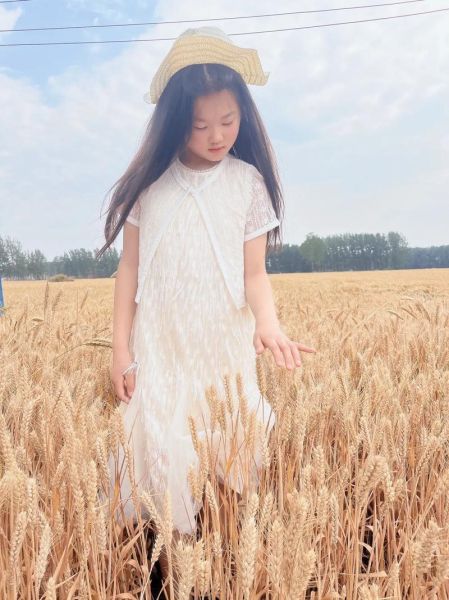 麦穗图片怎么拍好看_麦穗图片拍摄技巧-第3张图片-山城妙识