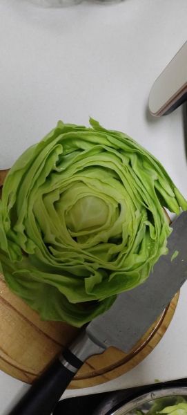 新鲜橄榄菜长什么样子_如何辨别真假橄榄菜-第1张图片-山城妙识