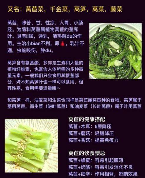 莴苣和油麦菜的区别_哪个更有营养-第2张图片-山城妙识