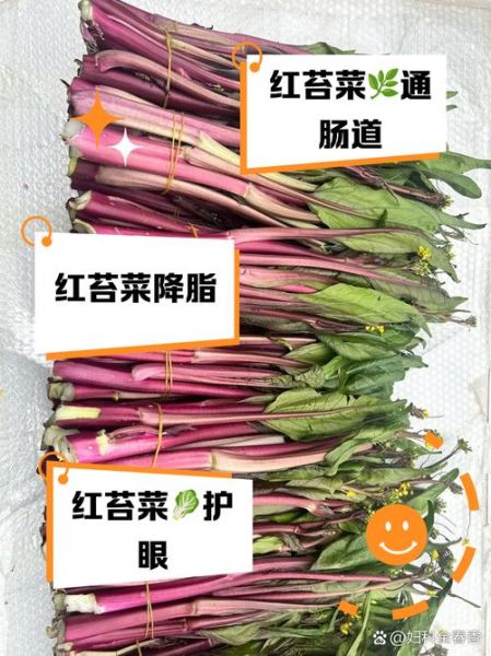 菜苔的功效与作用_菜苔的禁忌人群有哪些-第3张图片-山城妙识