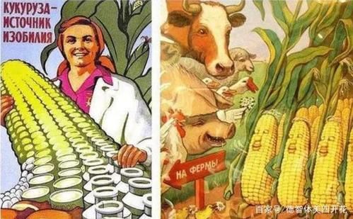 土豆烧牛肉_赫鲁晓夫为什么被关联-第3张图片-山城妙识