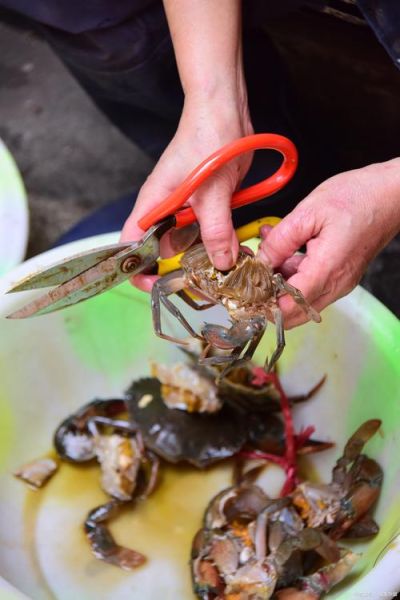 螃蟹怎么清洗干净最快方法_螃蟹清洗技巧-第2张图片-山城妙识