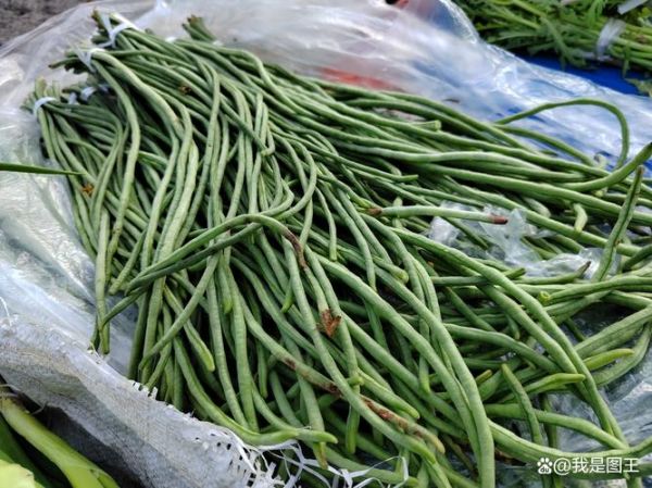 江豆和豇豆的区别_哪个才是日常餐桌主角-第3张图片-山城妙识