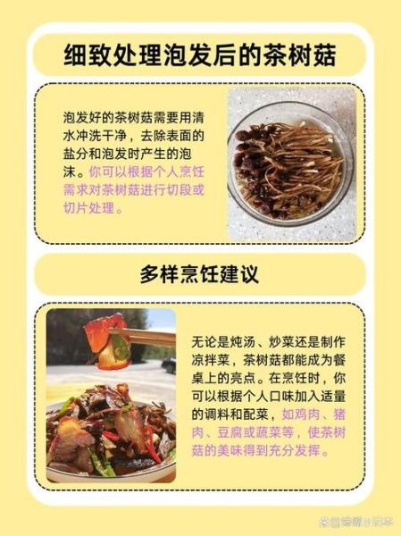 干茶树菇要泡多久才烂_怎么判断泡发到位-第1张图片-山城妙识