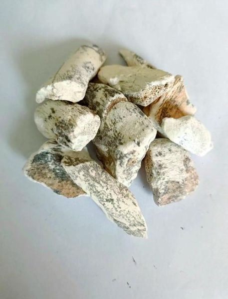 龙骨是什么骨头_龙骨在中医里指哪块骨骼-第2张图片-山城妙识 龙骨是什么骨头_龙骨在中医里指哪块骨骼-第2张图片-山城妙识