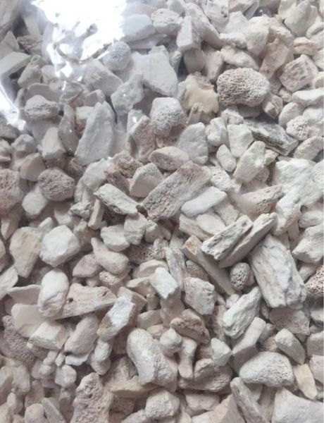 龙骨是什么骨头_龙骨在中医里指哪块骨骼-第3张图片-山城妙识 龙骨是什么骨头_龙骨在中医里指哪块骨骼-第3张图片-山城妙识