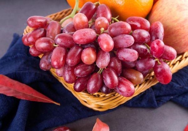 女生冬天吃什么水果好_女生冬天吃什么水果对皮肤好-第1张图片-山城妙识 女生冬天吃什么水果好_女生冬天吃什么水果对皮肤好-第1张图片-山城妙识