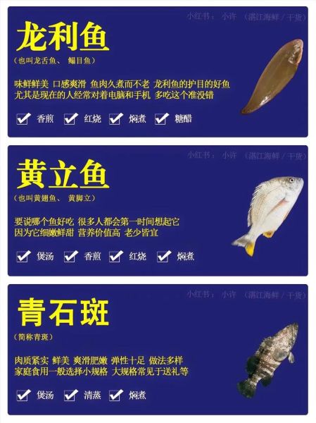 海洋鱼类图片大全名称_如何快速识别常见品种-第1张图片-山城妙识 海洋鱼类图片大全名称_如何快速识别常见品种-第1张图片-山城妙识