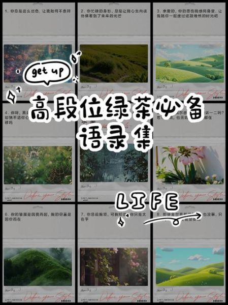 绿茶要有绿茶的本事_如何成为高段位绿茶-第2张图片-山城妙识 绿茶要有绿茶的本事_如何成为高段位绿茶-第2张图片-山城妙识