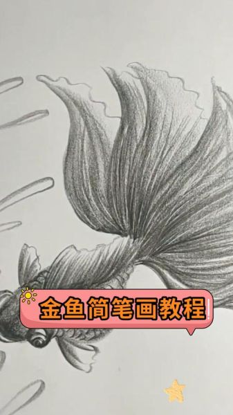 金鱼图片卡通怎么画_金鱼卡通简笔画教程-第2张图片-山城妙识 金鱼图片卡通怎么画_金鱼卡通简笔画教程-第2张图片-山城妙识