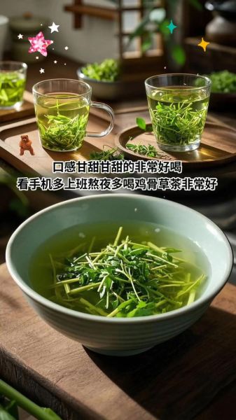 鸡骨草叶泡茶的功效_鸡骨草叶泡茶能长期喝吗-第1张图片-山城妙识