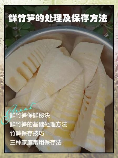 鲜竹笋的营养价值_鲜竹笋怎么吃不寒凉-第2张图片-山城妙识 鲜竹笋的营养价值_鲜竹笋怎么吃不寒凉-第2张图片-山城妙识