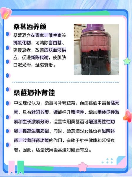自制桑葚酒的危害有毒吗_如何避免中毒风险-第2张图片-山城妙识 自制桑葚酒的危害有毒吗_如何避免中毒风险-第2张图片-山城妙识