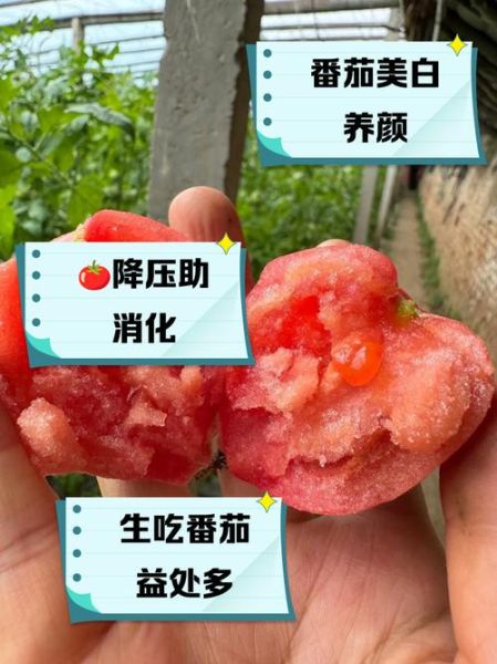 生菜的功效与作用禁忌_番茄可以一起吃吗-第1张图片-山城妙识