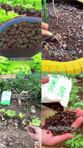 豆渣发酵肥料怎么做_豆渣沤肥要多久-第3张图片-山城妙识 豆渣发酵肥料怎么做_豆渣沤肥要多久-第3张图片-山城妙识