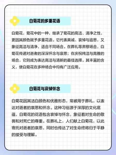 白菊花的花语是什么_白菊花适合送什么人-第3张图片-山城妙识