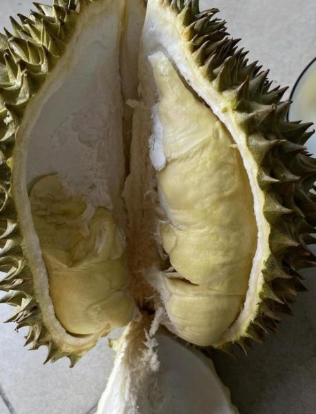 榴莲怎么开三角口_榴莲三角口正确开法-第2张图片-山城妙识