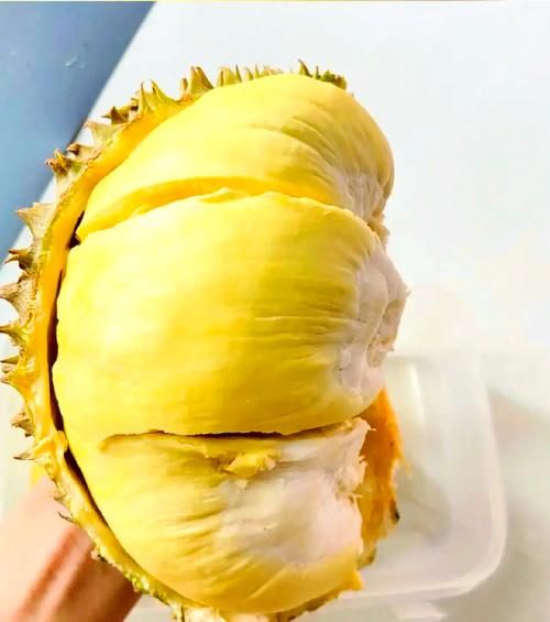 榴莲怎么开三角口_榴莲三角口正确开法-第3张图片-山城妙识