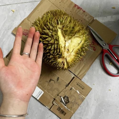 榴莲怎么开三角口_榴莲三角口正确开法-第1张图片-山城妙识