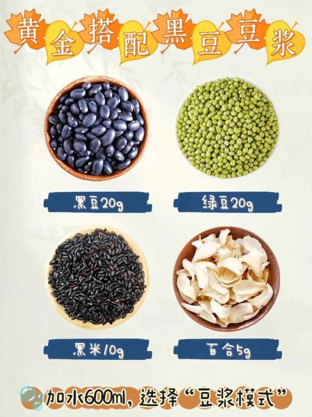 黑豆豆浆怎么做_黑豆豆浆做法窍门-第2张图片-山城妙识