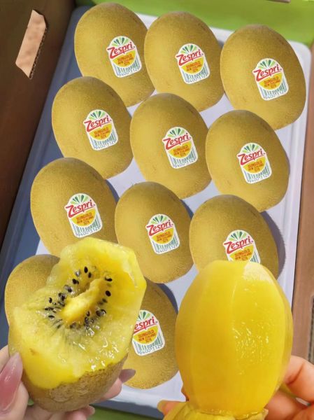 黄金果猕猴桃好吃吗_黄金果猕猴桃怎么挑-第2张图片-山城妙识