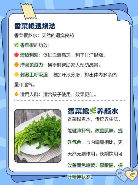 香菜根的功效与作用_香菜根煮水能天天喝吗-第1张图片-山城妙识