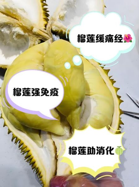 女性吃榴莲有什么好处_女人常吃榴莲会胖吗-第3张图片-山城妙识