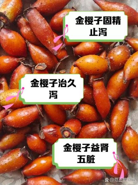 金樱子对女人的作用_女人吃金樱子有什么好处-第1张图片-山城妙识