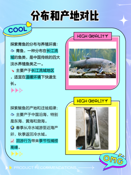 鲅鱼和青鱼的区别_怎么分辨鲅鱼青鱼-第1张图片-山城妙识 鲅鱼和青鱼的区别_怎么分辨鲅鱼青鱼-第1张图片-山城妙识