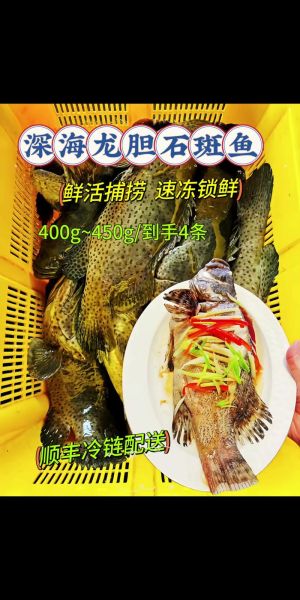 龙胆石斑鱼怎么做好吃_龙胆石斑鱼清蒸还是红烧-第1张图片-山城妙识 龙胆石斑鱼怎么做好吃_龙胆石斑鱼清蒸还是红烧-第1张图片-山城妙识