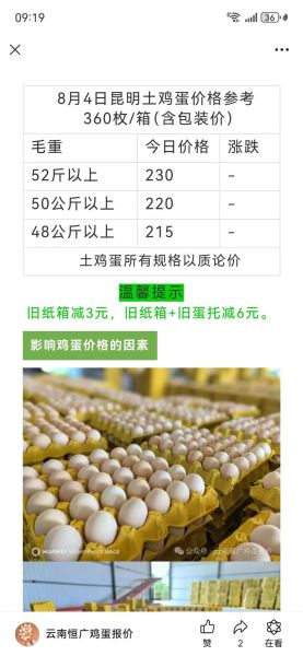 今日鸡蛋价格多少钱一斤_全国鸡蛋价格表怎么看-第3张图片-山城妙识 今日鸡蛋价格多少钱一斤_全国鸡蛋价格表怎么看-第3张图片-山城妙识