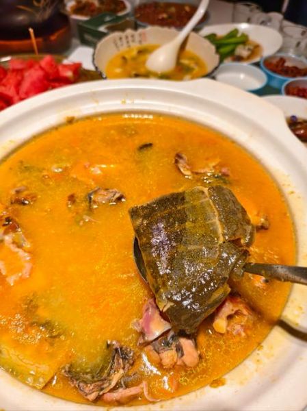 怎样炖甲鱼汤好吃_甲鱼汤去腥技巧-第3张图片-山城妙识 怎样炖甲鱼汤好吃_甲鱼汤去腥技巧-第3张图片-山城妙识