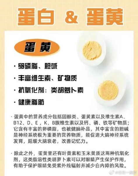 蛋清和蛋黄哪个更有营养_健身增肌吃哪个-第1张图片-山城妙识
