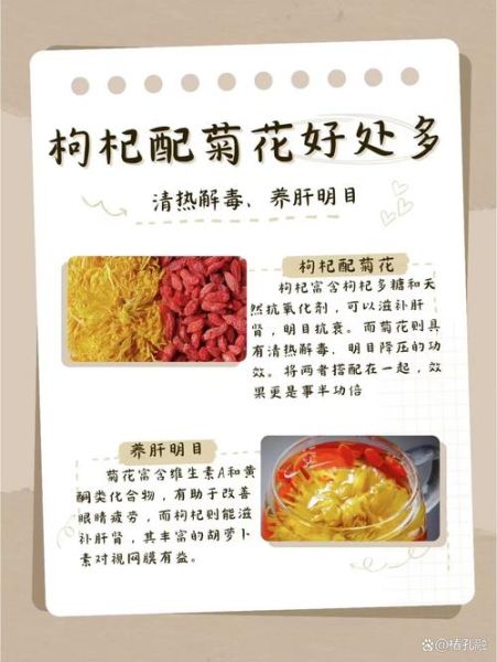 菊花茶的功效与作用_菊花茶哪些人不能喝-第1张图片-山城妙识