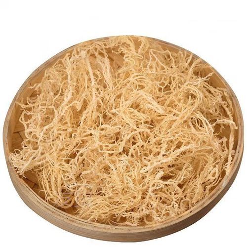 龙须菜图片又叫什么_龙须菜和石花菜的区别-第3张图片-山城妙识 龙须菜图片又叫什么_龙须菜和石花菜的区别-第3张图片-山城妙识