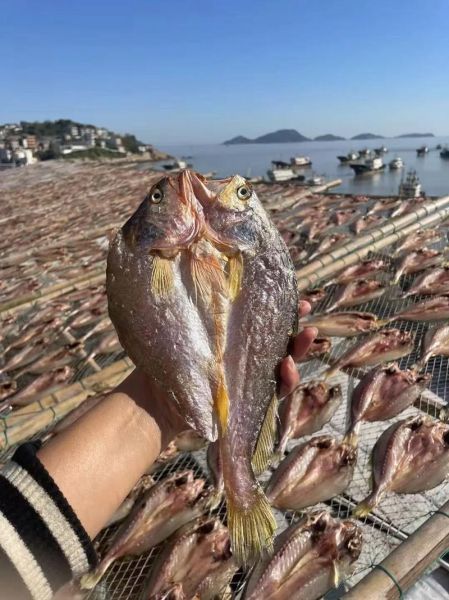 白鲞鱼图片怎么区分好坏_白鲞鱼图片高清细节有哪些-第3张图片-山城妙识