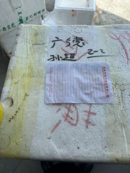 附近桂鱼苗哪里有卖_桂鱼苗价格多少钱一斤-第2张图片-山城妙识