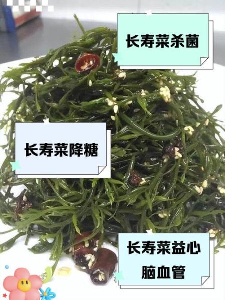 海藻长寿菜的功效与作用_怎么吃最养生-第1张图片-山城妙识 海藻长寿菜的功效与作用_怎么吃最养生-第1张图片-山城妙识