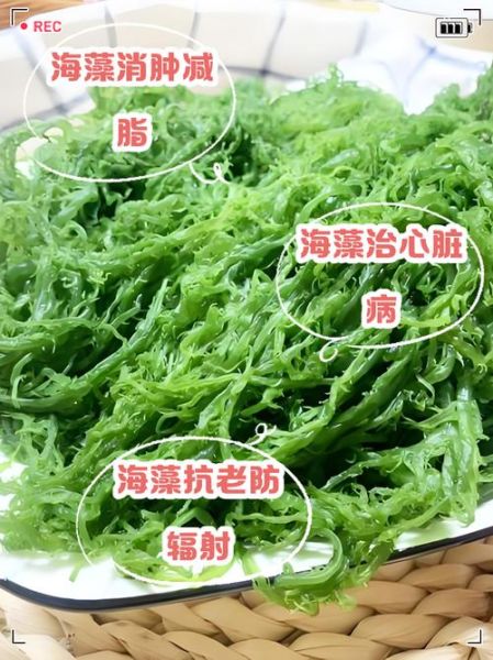 海藻长寿菜的功效与作用_怎么吃最养生-第2张图片-山城妙识 海藻长寿菜的功效与作用_怎么吃最养生-第2张图片-山城妙识