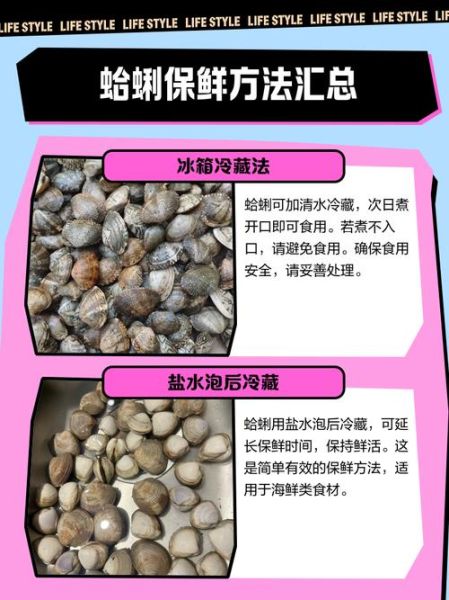 蛤蜊当天不吃如何保存_蛤蜊隔夜还能吃吗-第1张图片-山城妙识