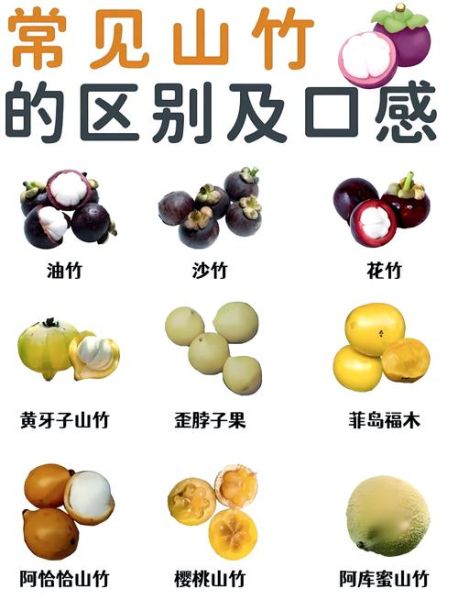 宝宝吃山竹禁忌_宝宝多大可以吃山竹-第1张图片-山城妙识