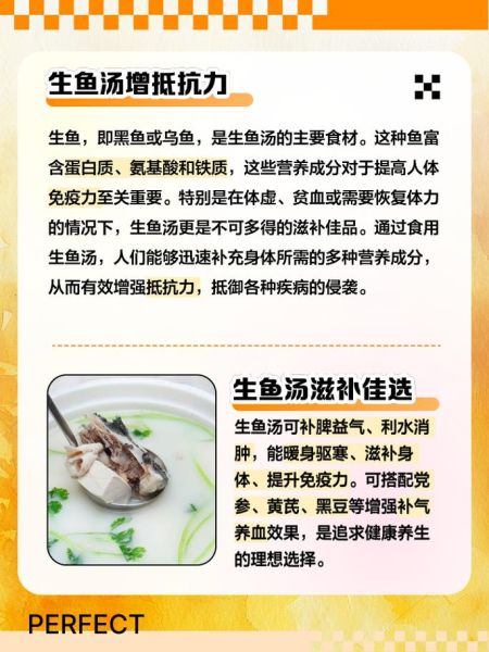 生鱼汤的功效与禁忌_生鱼汤怎么炖最补-第1张图片-山城妙识