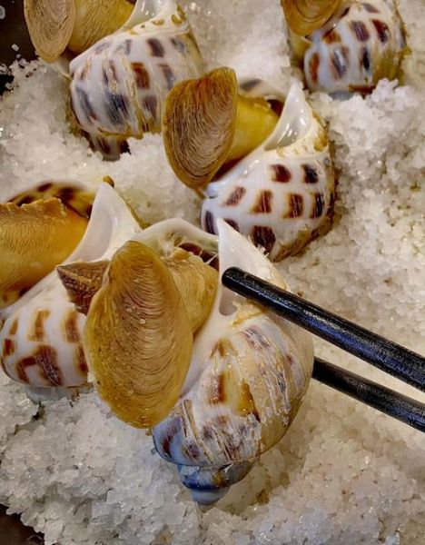 东风螺怎么做好吃_东风螺最鲜嫩的吃法-第1张图片-山城妙识