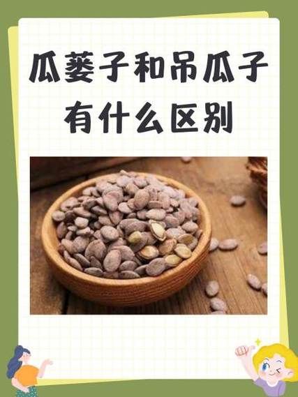 瓜蒌子和吊瓜子有什么区别_哪个更好吃-第2张图片-山城妙识