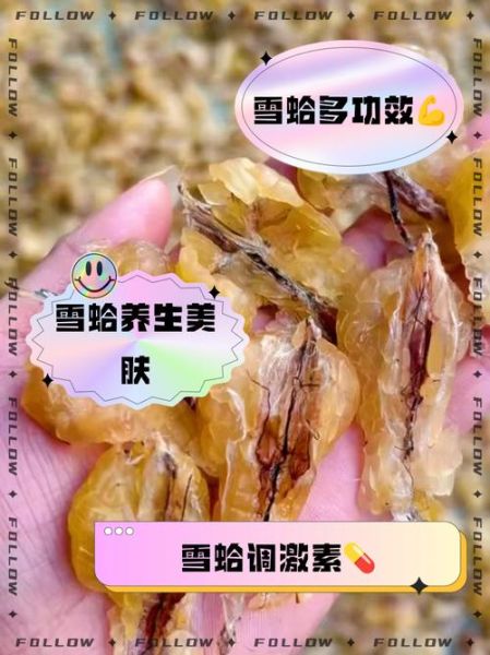 雪蛤对男性性功能有用吗_雪蛤怎么吃效果最好-第2张图片-山城妙识