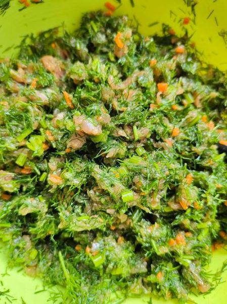 茴香苗素饺子怎么拌馅_茴香苗素饺子馅放什么调料-第1张图片-山城妙识 茴香苗素饺子怎么拌馅_茴香苗素饺子馅放什么调料-第1张图片-山城妙识