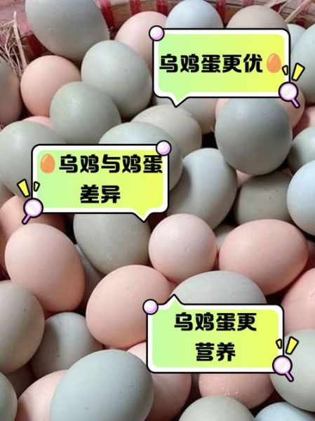乌鸡蛋和普通鸡蛋哪个更营养_乌鸡蛋营养价值高吗-第1张图片-山城妙识 乌鸡蛋和普通鸡蛋哪个更营养_乌鸡蛋营养价值高吗-第1张图片-山城妙识